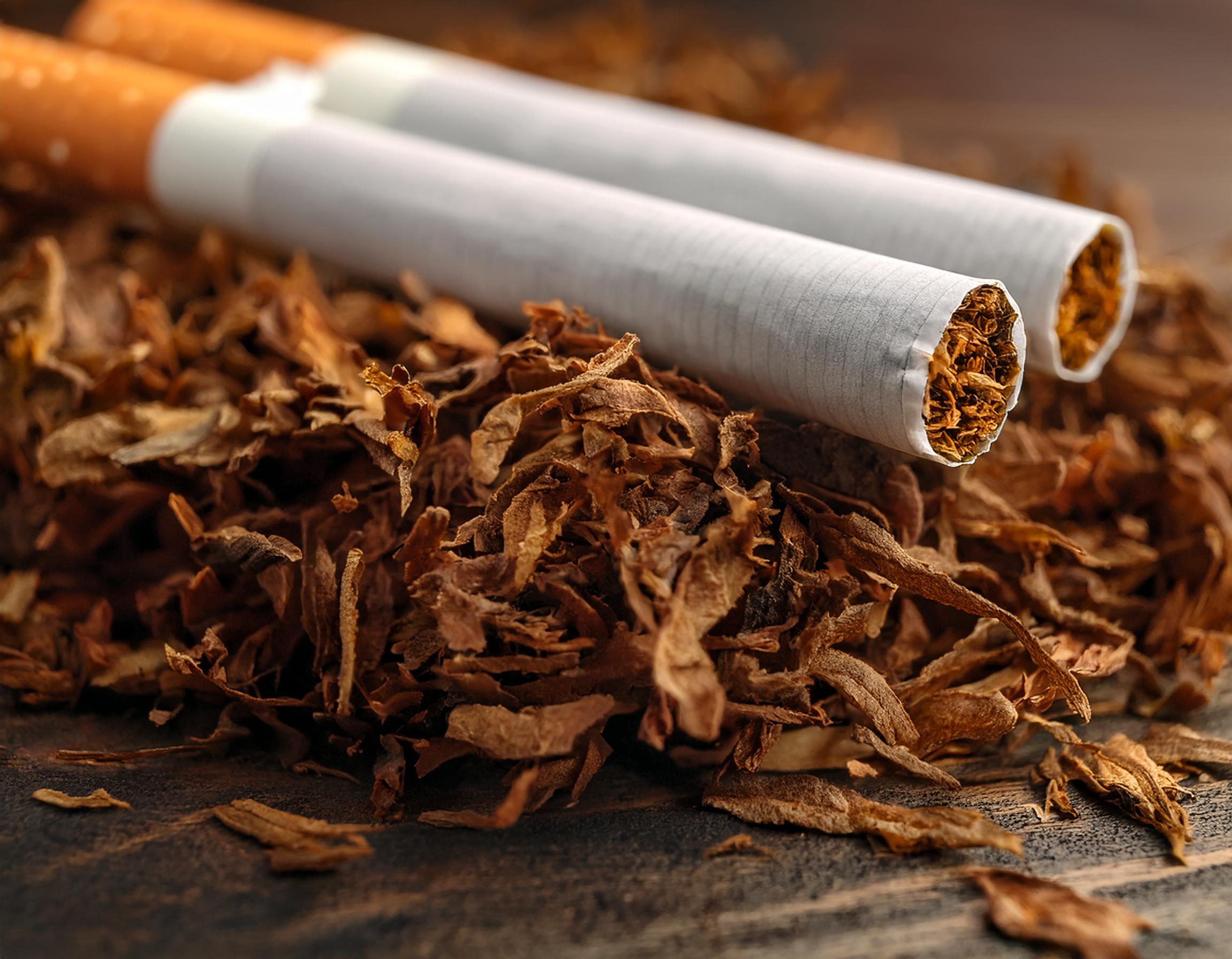 Rolling Your Own: The Advantages of Whole Leaf Tobacco