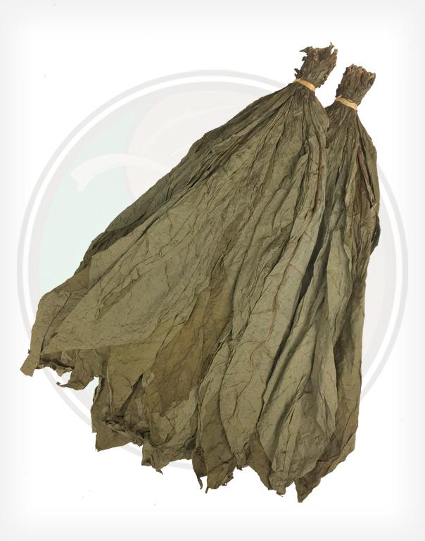 Candela Cigar Wrapper - Green Cigar Wrapper