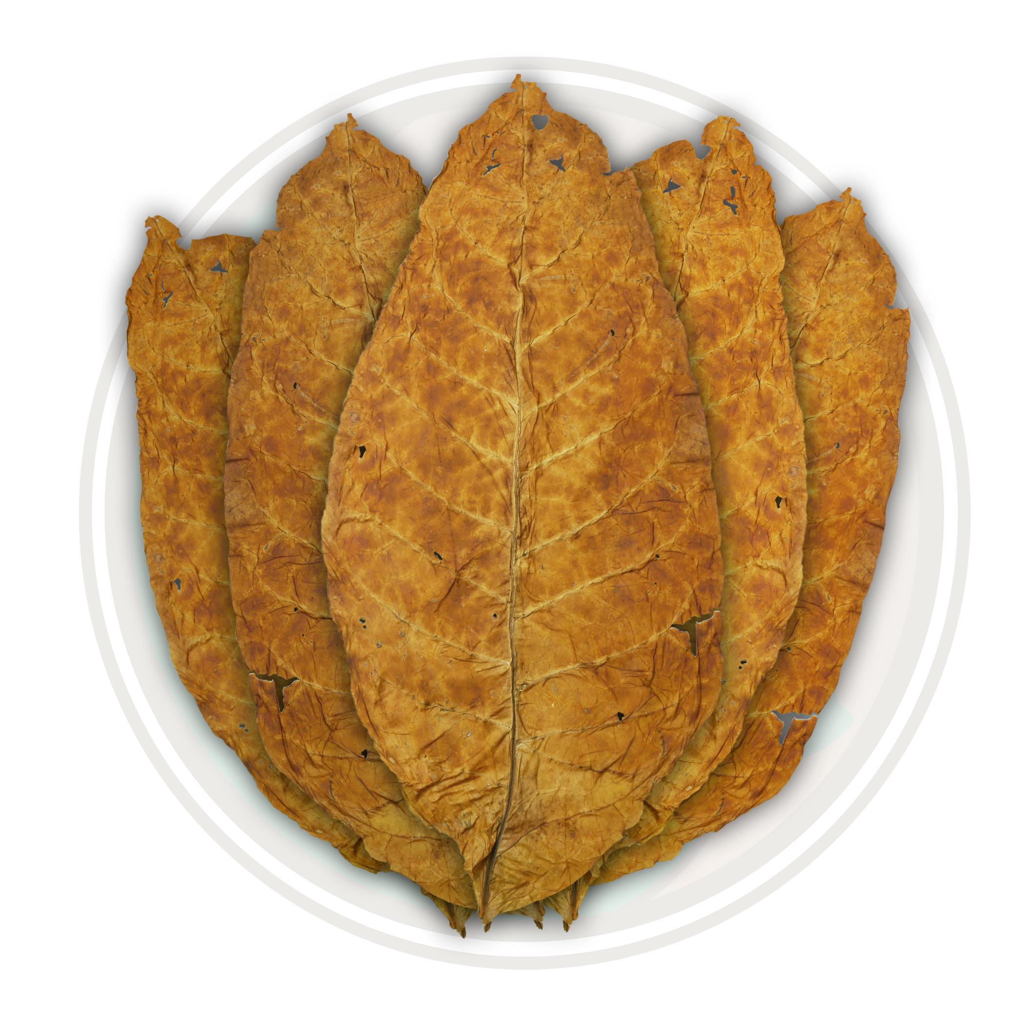 Brightleaf Virginia Flue Cured Tobacco Leaf - Smooth Whole Leaf Tobacco ...