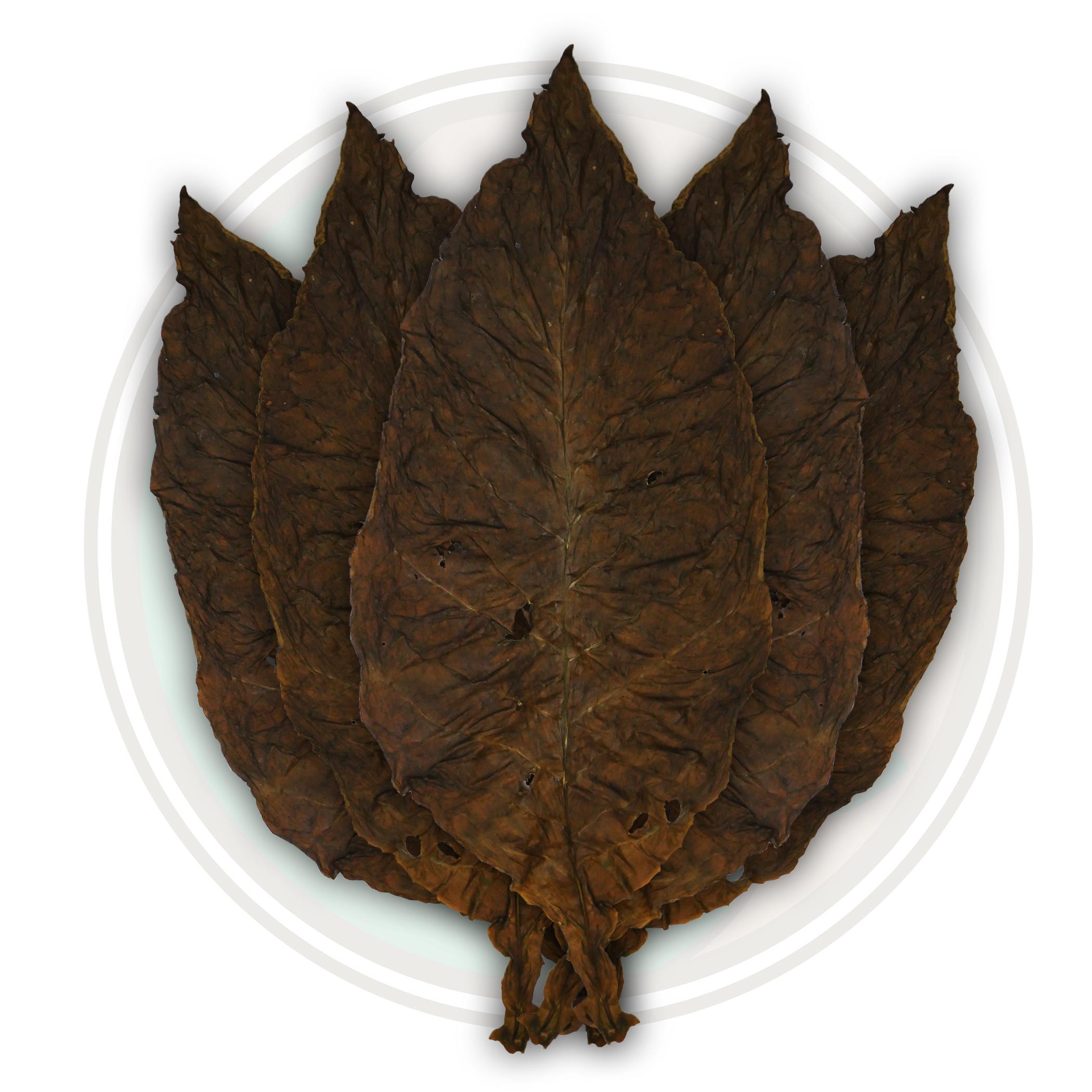 Fronto Leaf - High Quality Dark Air Cured Tobacco Leaves - Red Rose