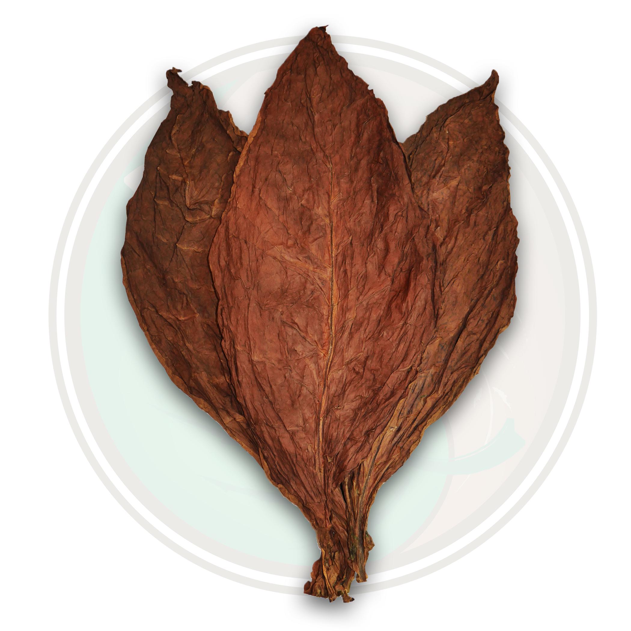 Honduran Viso Whole Leaf Cigar Wrapper Tobacco - Cigar Tobacco for RYO ...