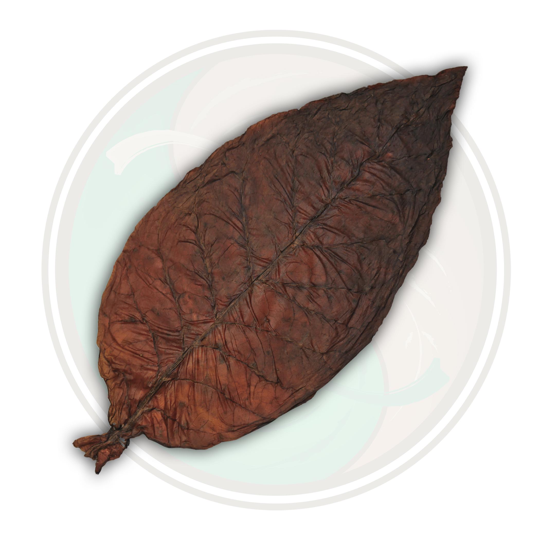 Brazilian Wrapper Arapiraca Wrapper Tobacco Wrapper Quality Whole Leaf ...