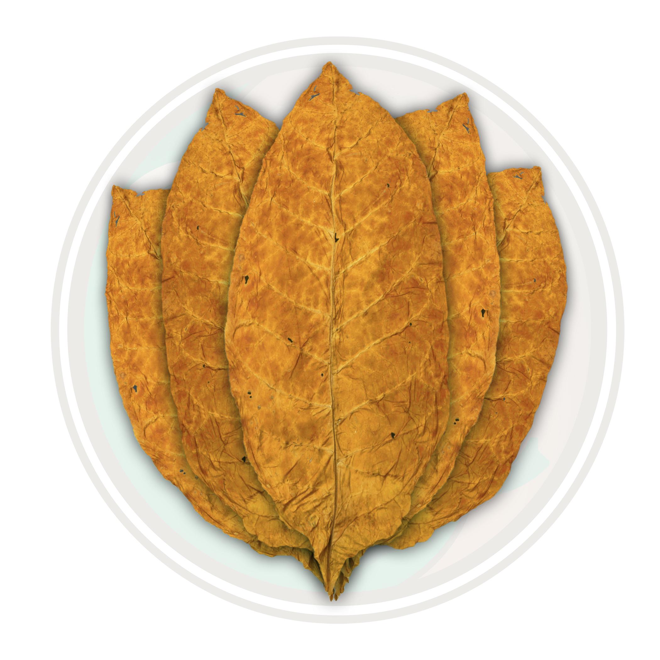 Brightleaf Virginia Flue Cured Tobacco Leaf - Sweet Tobacco Leaves For ...
