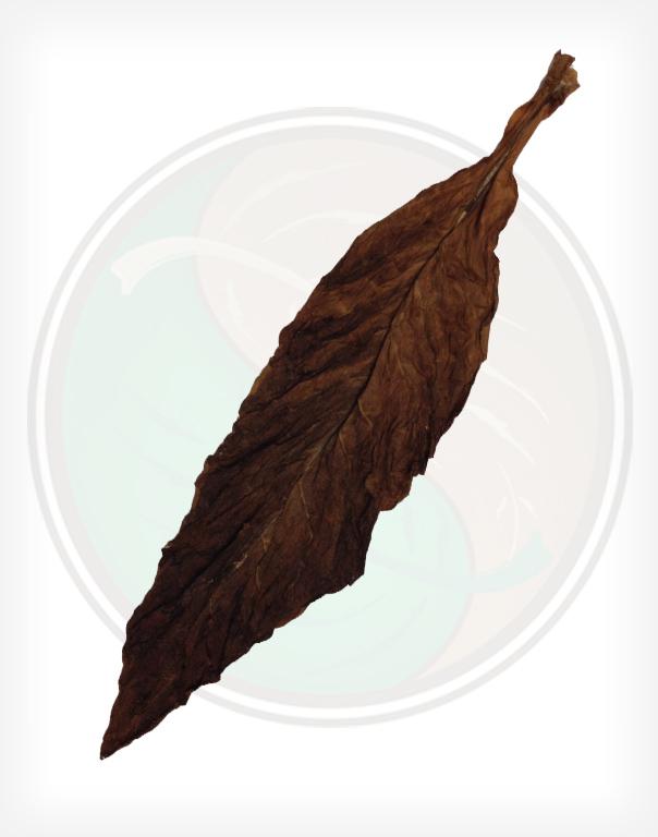 Fronto Leaf CLO - Canadian Dark Air Cured Fronto Tobacco Leaves for ...