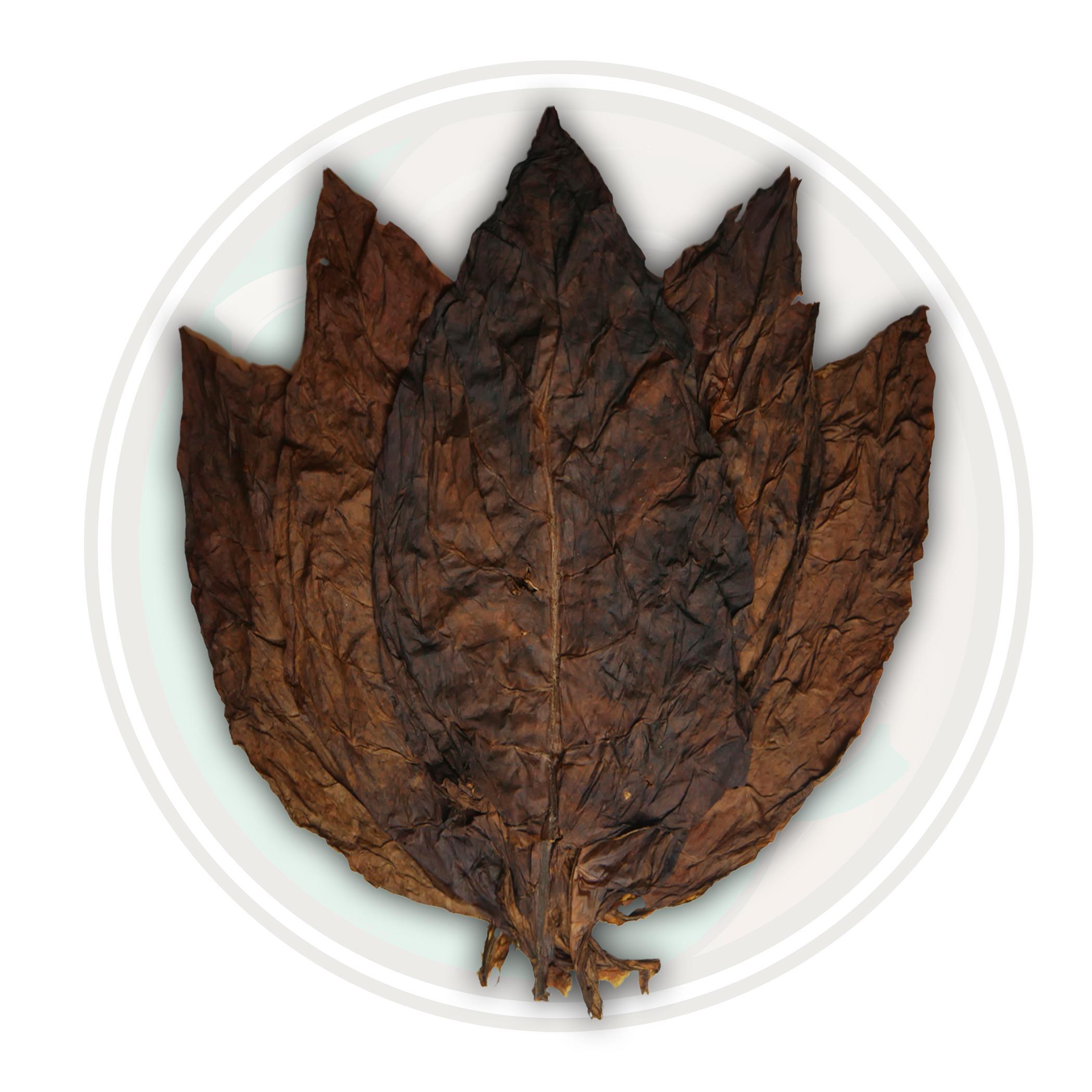 Aged Brazilian Habano Viso Binder/Filler Wholesale Tobacco Leaves