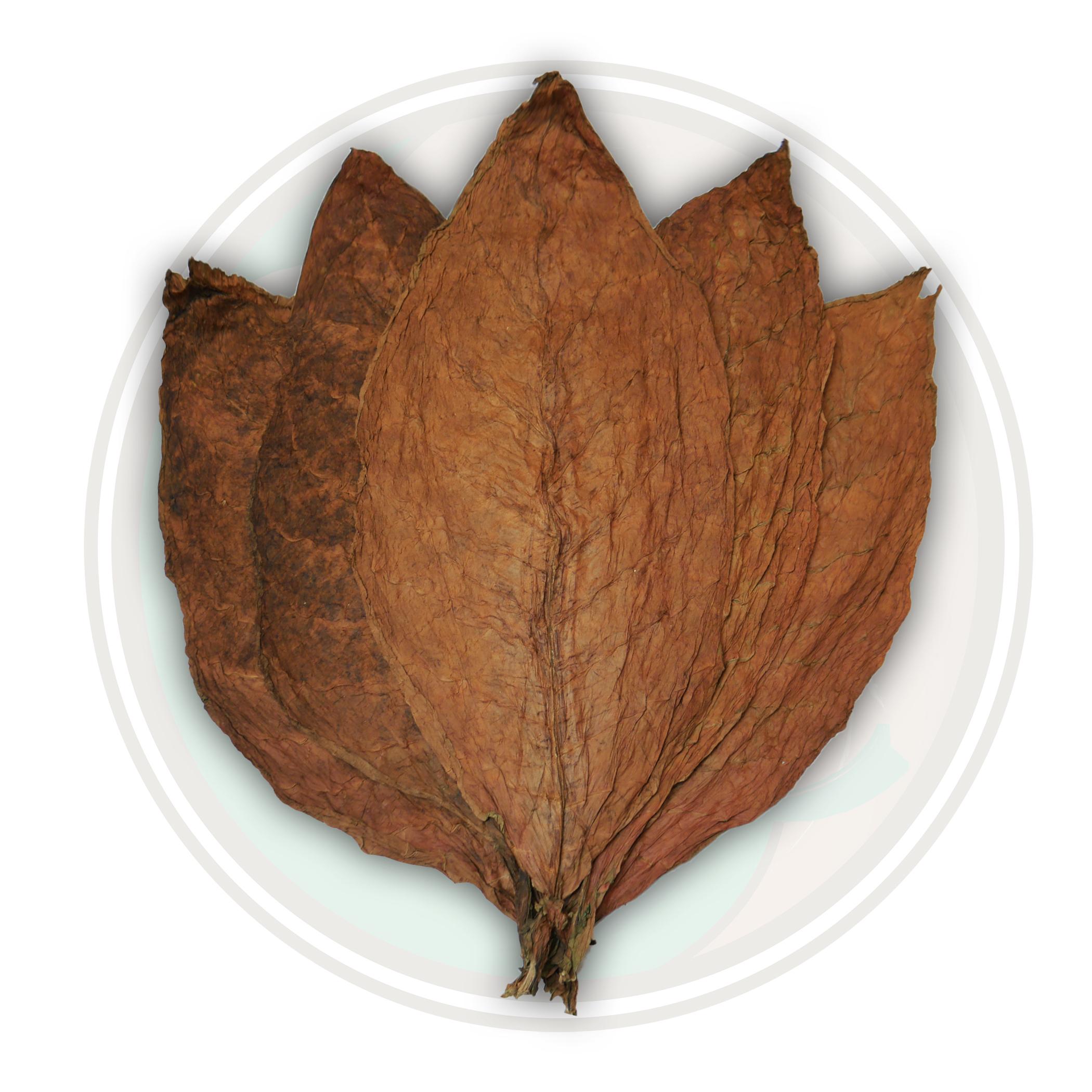 Honduran Seco Whole Leaf Cigar Wrapper Tobacco - Cigar Tobacco for RYO ...