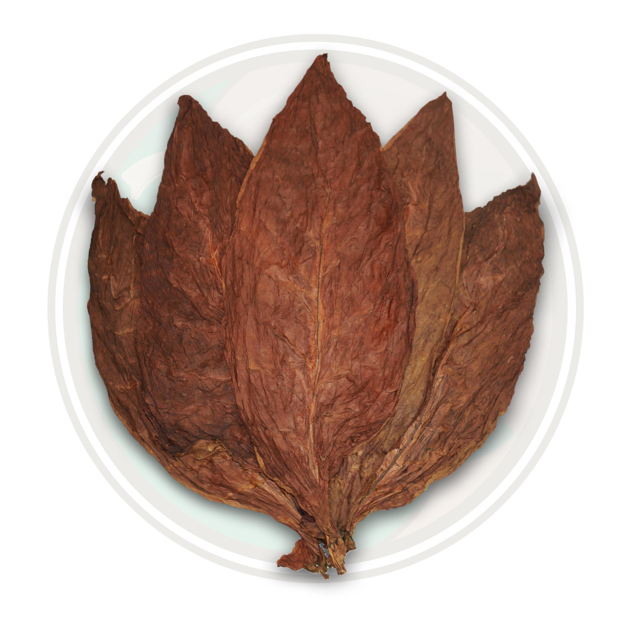 Honduran Viso Whole Leaf Cigar Wrapper Tobacco - Cigar Tobacco for RYO ...