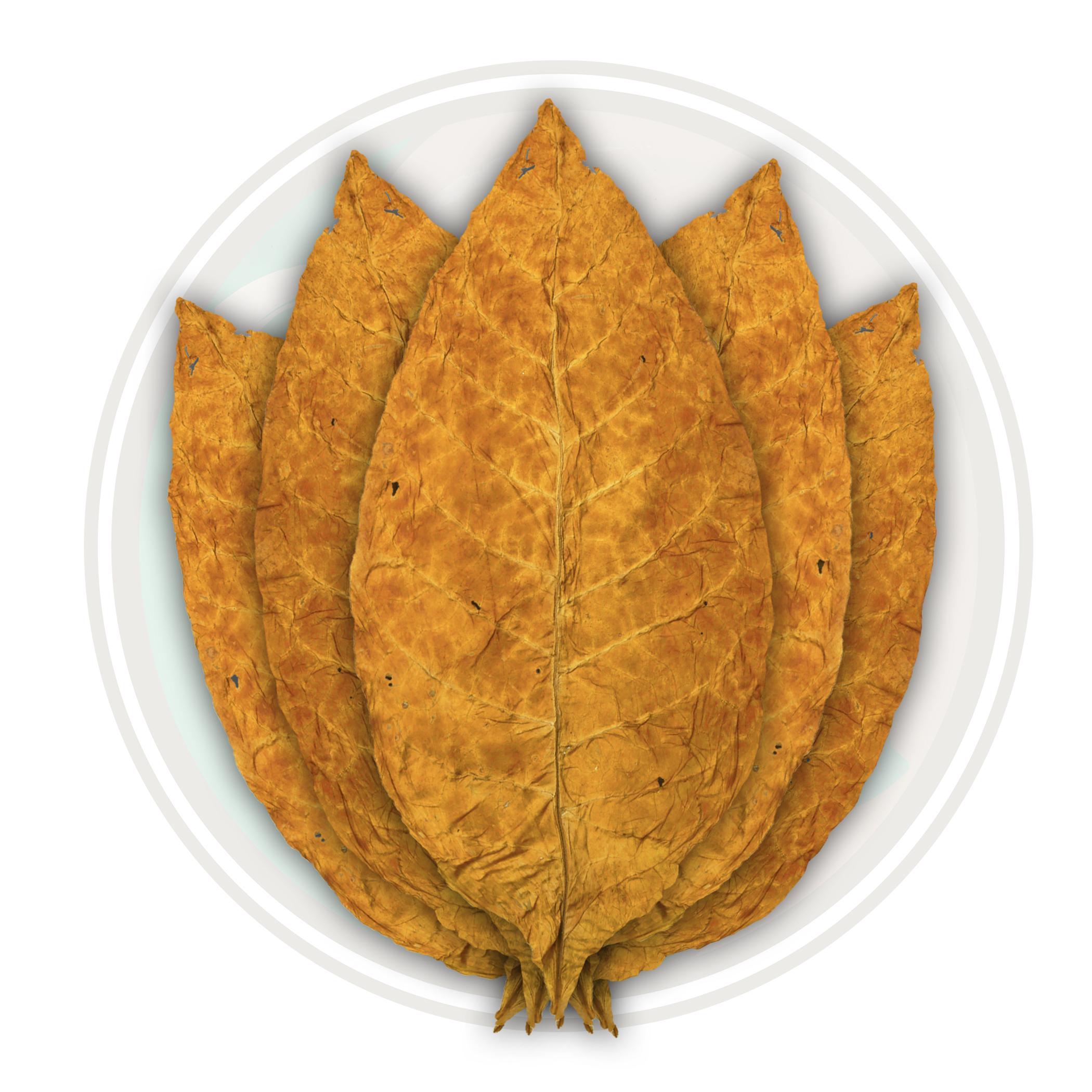 Brightleaf Virginia Flue Cured Tobacco Leaf - Sweet Tobacco Leaves For ...