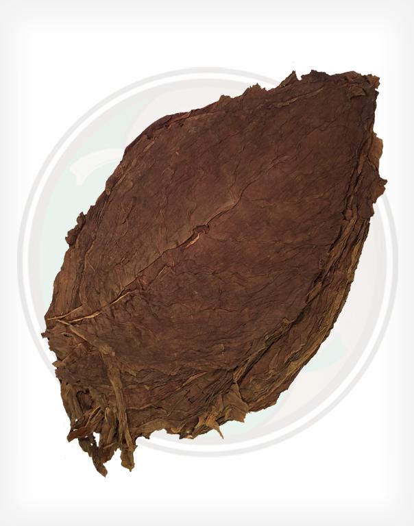 Aged Ecuadorian Viso Cigar Filler - Whole Raw Leaf Tobacco for Cigar Making Aged Ecuadorian Viso Cigar Filler - Whole Raw Leaf Tobacco for Cigar Making