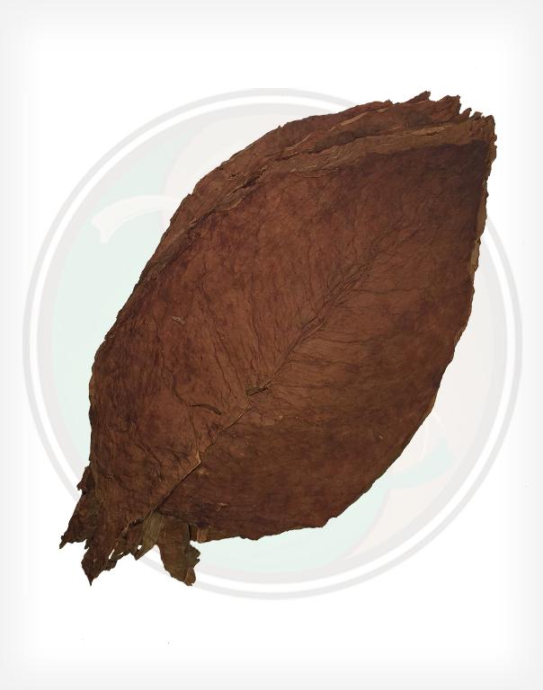 Aged Ecuadorian Seco Cigar Filler - Whole Raw Leaf Tobacco for Cigar Making