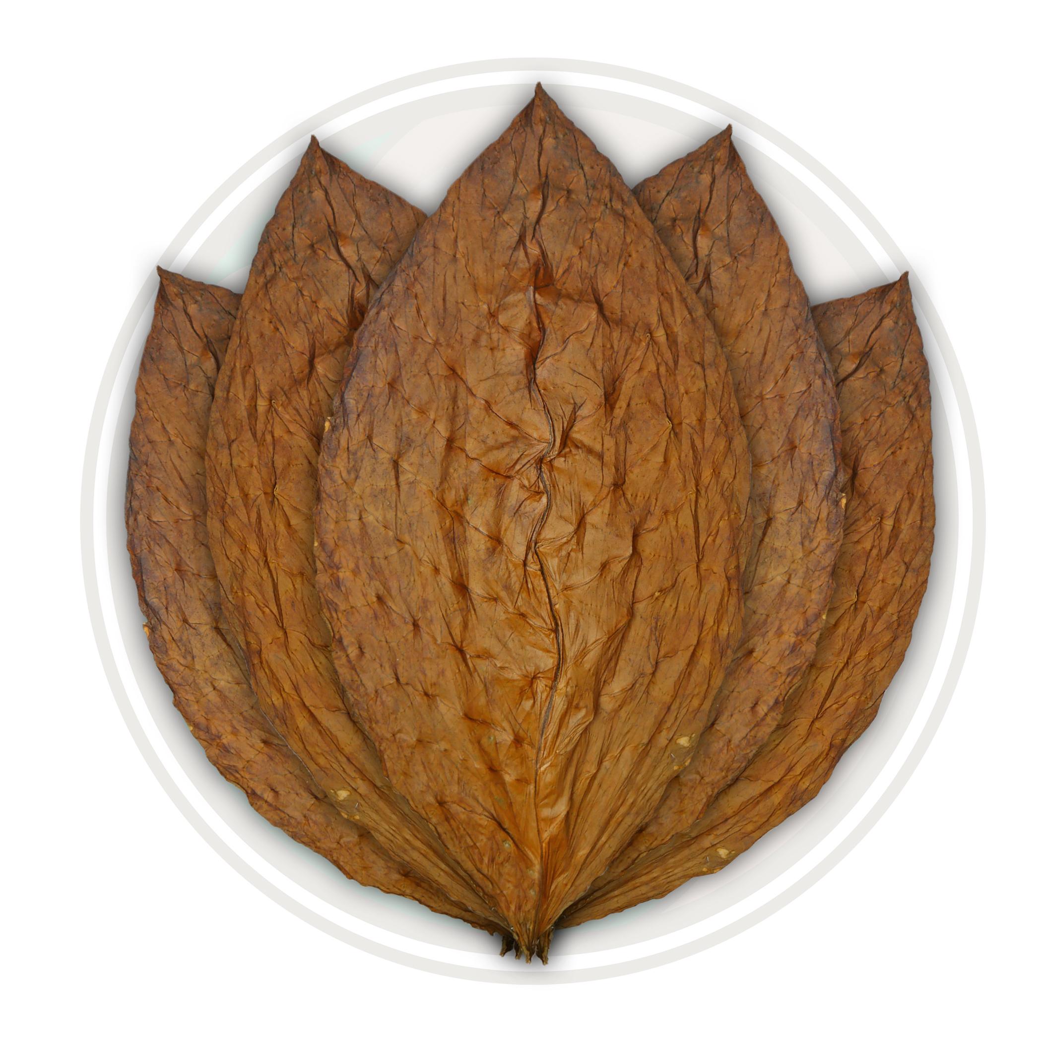 Raw Cigar Tobacco Leaf, Tobacco Leaf Cigar Blends, RYO Cigars Tobacco ...