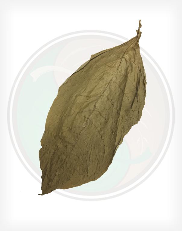 Candela Cigar Wrapper - Green Cigar Wrapper