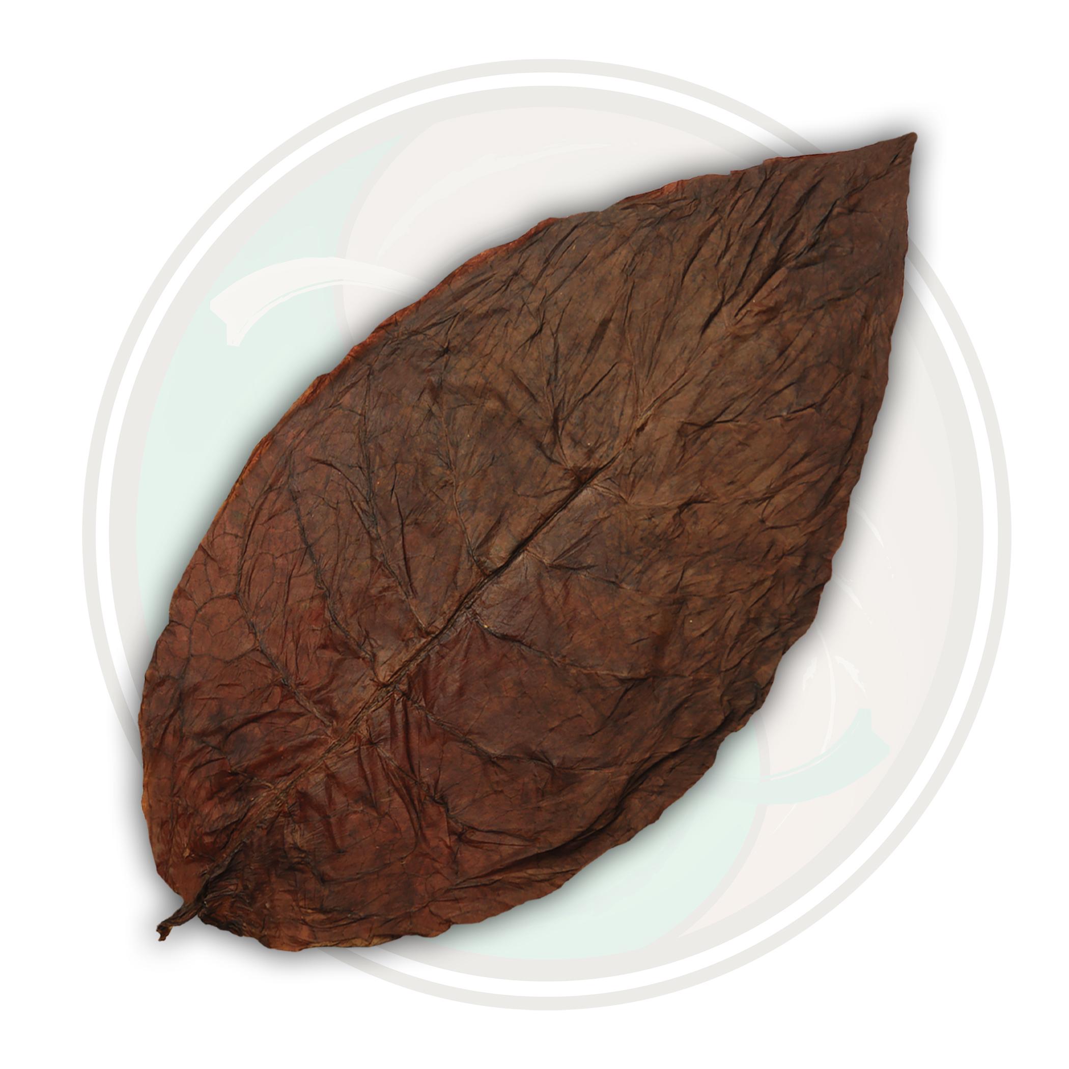 Brazilian Cubra Cigar Wrapper - Brazilian Cubra Tobacco Leaf Cigar Leaves