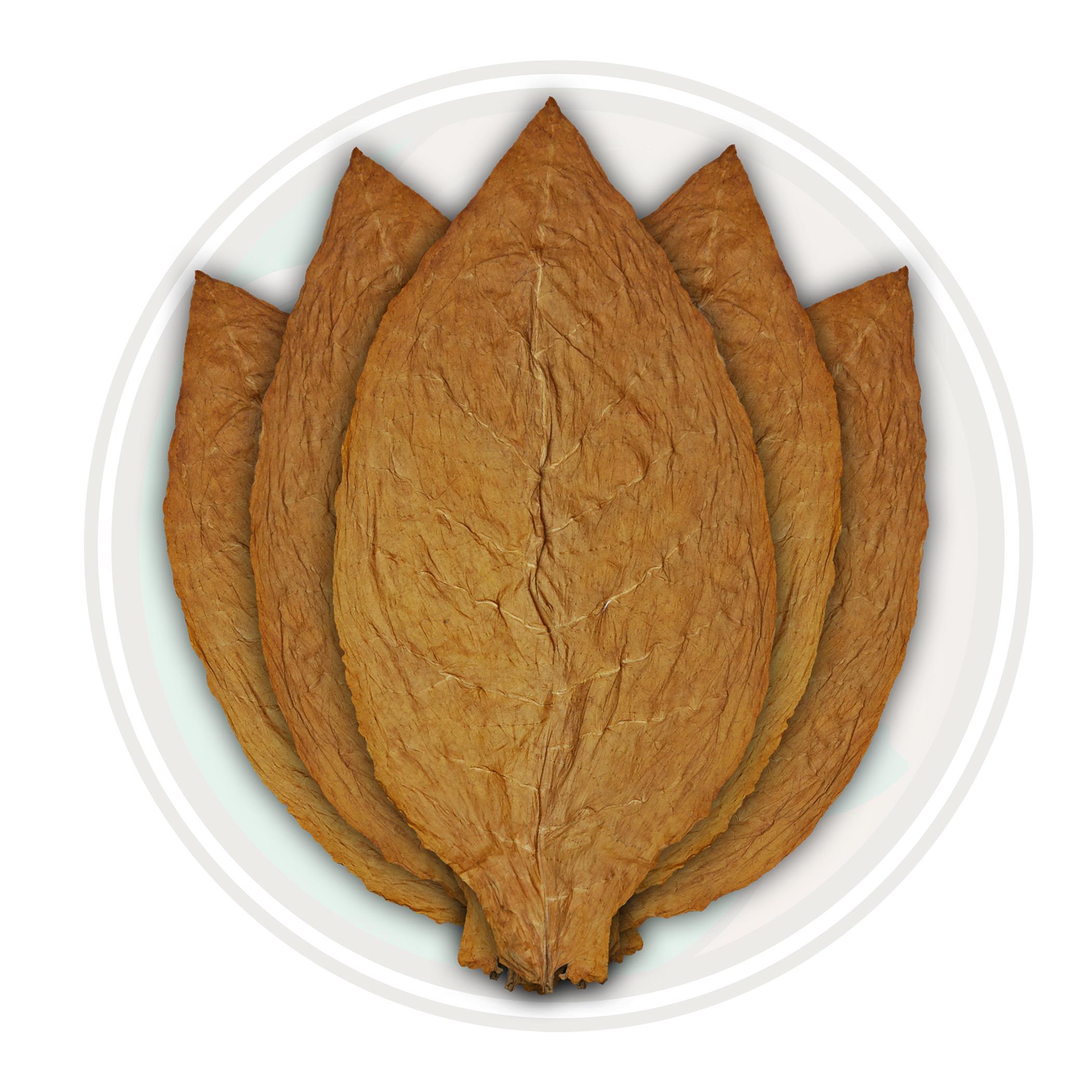 Raw Cigar Tobacco Leaf, Tobacco Leaf Cigar Blends, RYO Cigars Tobacco ...