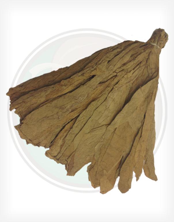 CT Premium Shade Leaf Wrapper (21 inch) Wholesale Tobacco Leaves
