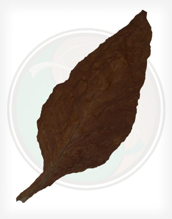 Pack of 20 Dark Grabba Leaves