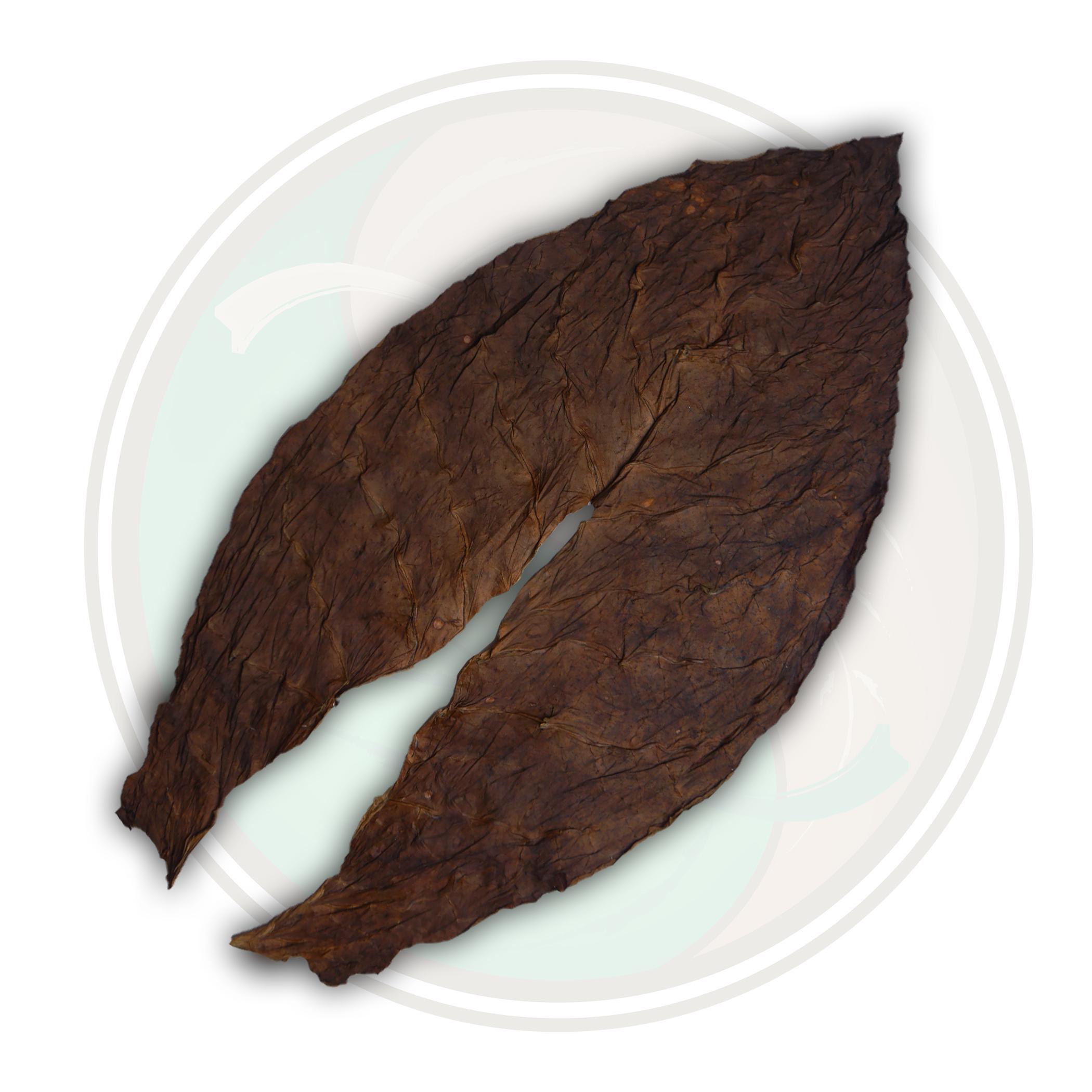Dominican Piloto Cubano Ligero Long Filler - Dominican Piloto Cubano ...