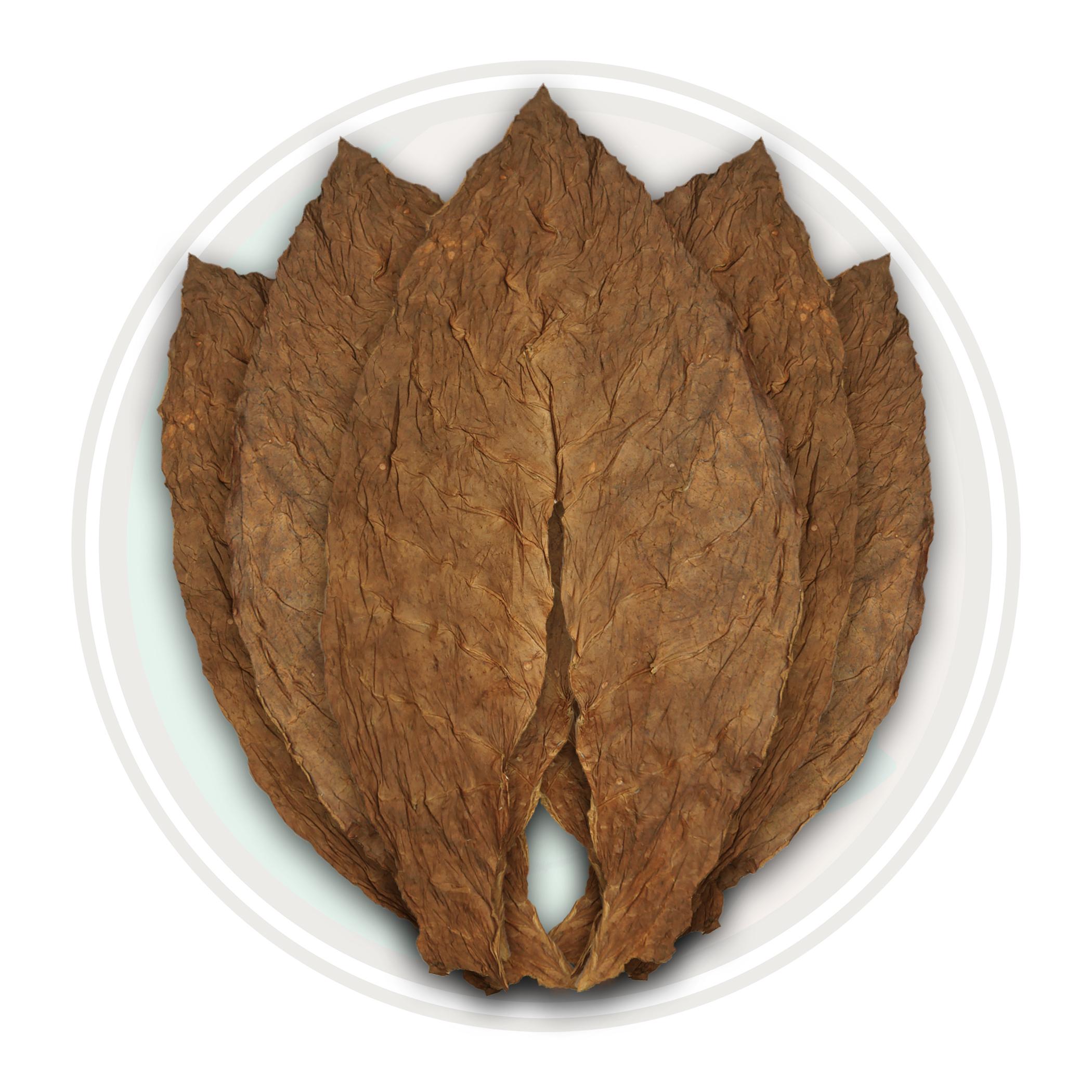 Dominican Voladao Long Filler - Dominican Volado Tobacco Leaf Cigar Filler