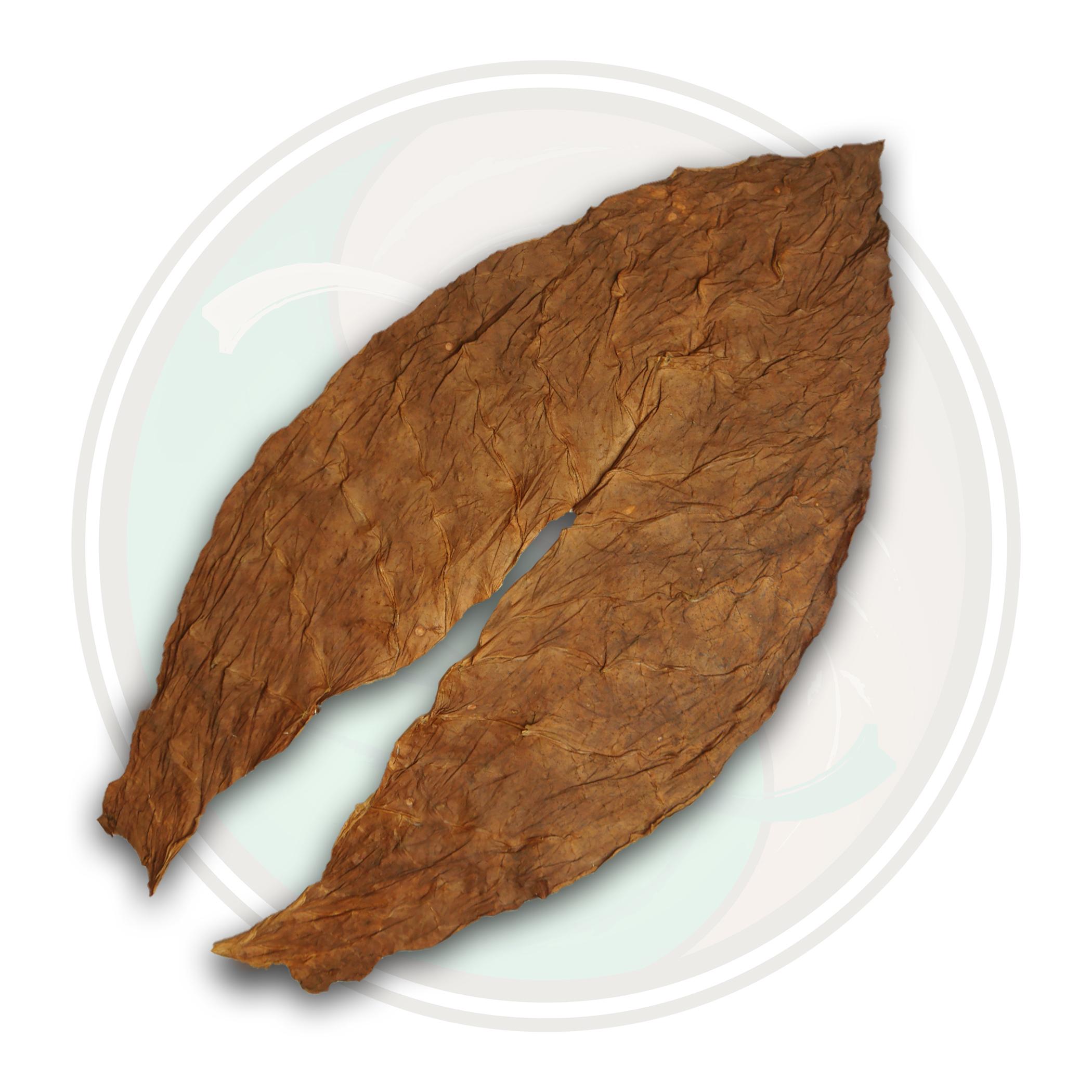 Dominican Voladao Long Filler - Dominican Volado Tobacco Leaf Cigar Filler