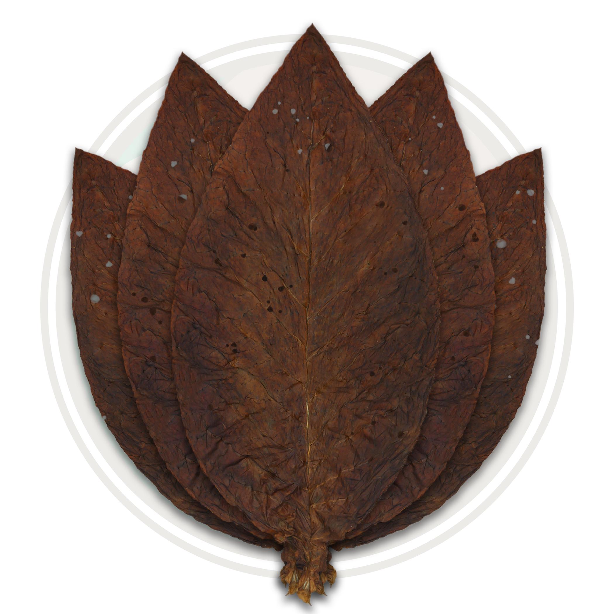 Fronto Leaf - Dark Air Cured Red Rose Whole Leaf Tobacco