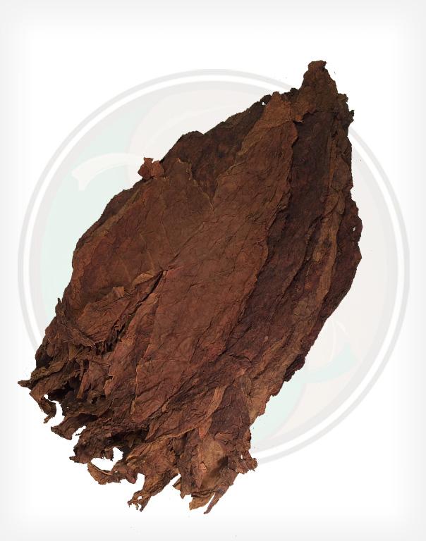 Dominican Ligero Piloto Cubano Wholesale Tobacco Leaves