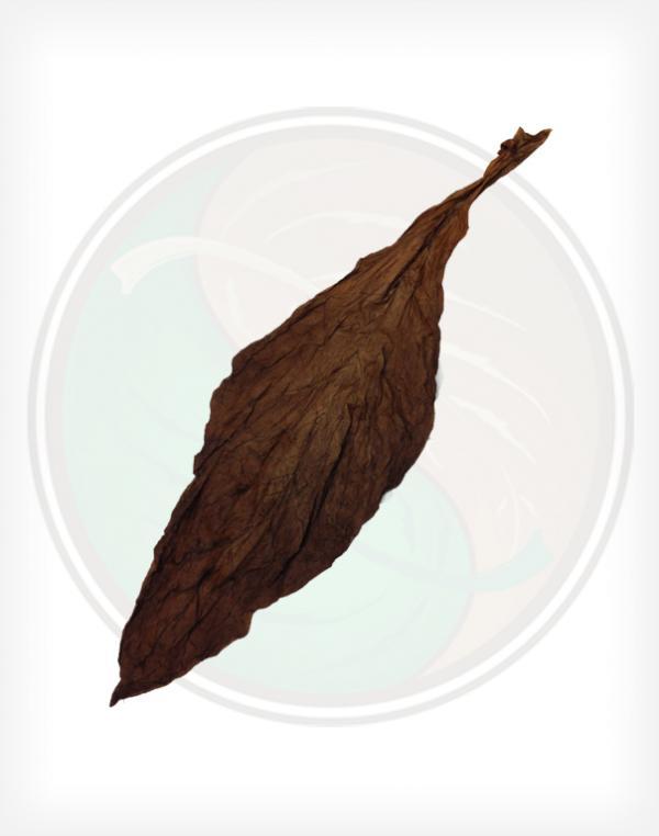 Fanta Leaves - QB-52 Fronto Wrapper Tobacco Leaves for Sale Online!