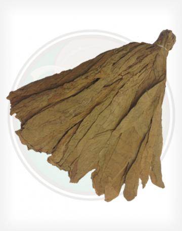 Fanta Leaves - QB-52 Fronto Wrapper Tobacco Leaves for Sale Online!