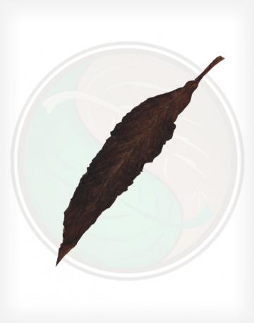 Fronto Leaf - High Quality Dark Air Cured Tobacco Leaves - Red Rose